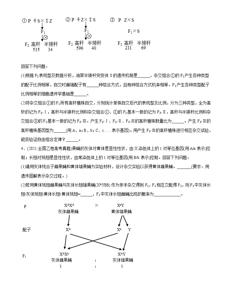 高中生物高考专题08 基因的自由组合定律 2021年高考生物真题与模拟题分类训练（学生版） 教习网试卷下载