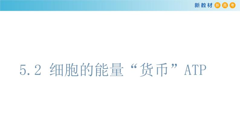 高中生物人教版 2019必修1《分子与细胞》第5章 细胞的能量供应和利用第2节 细胞的能量 货币”atp说课课件ppt 教习网课件下载
