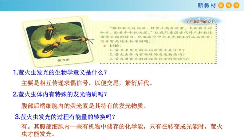 高中生物人教版 2019必修1《分子与细胞》第5章 细胞的能量供应和利用第2节 细胞的能量 货币”atp说课课件ppt 教习网课件下载