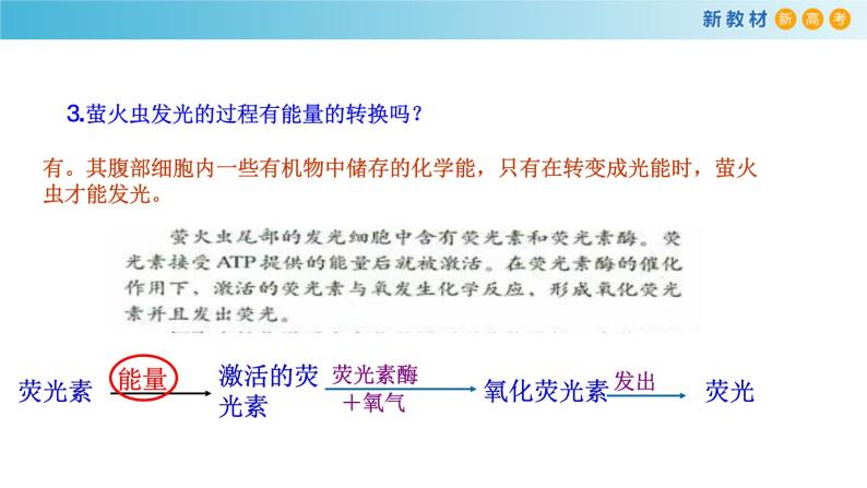 高中生物人教版 2019必修1《分子与细胞》第5章 细胞的能量供应和利用第2节 细胞的能量 货币”atp说课课件ppt 教习网课件下载