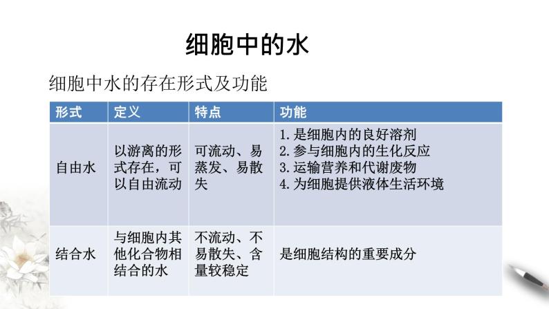 人教版 2019必修1《分子与细胞》第2节 细胞中的无机物背景图课件ppt 教习网课件下载