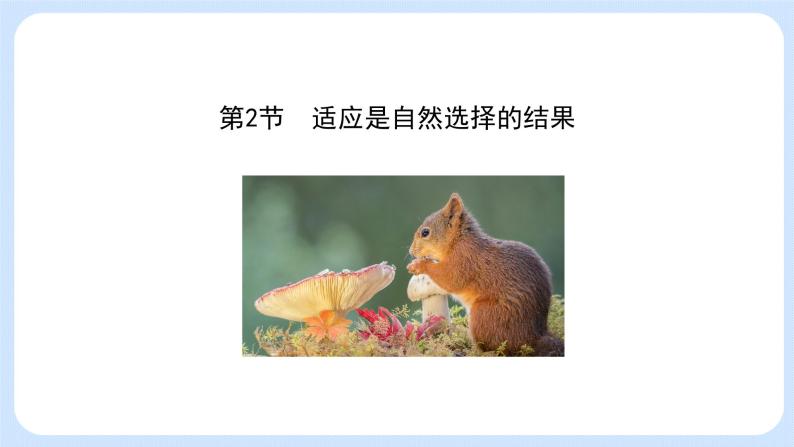 浙科版 2019必修2《遗传与进化》第五章 生物的进化第二节 适应是自然选择的结果完整版ppt课件 教习网课件下载