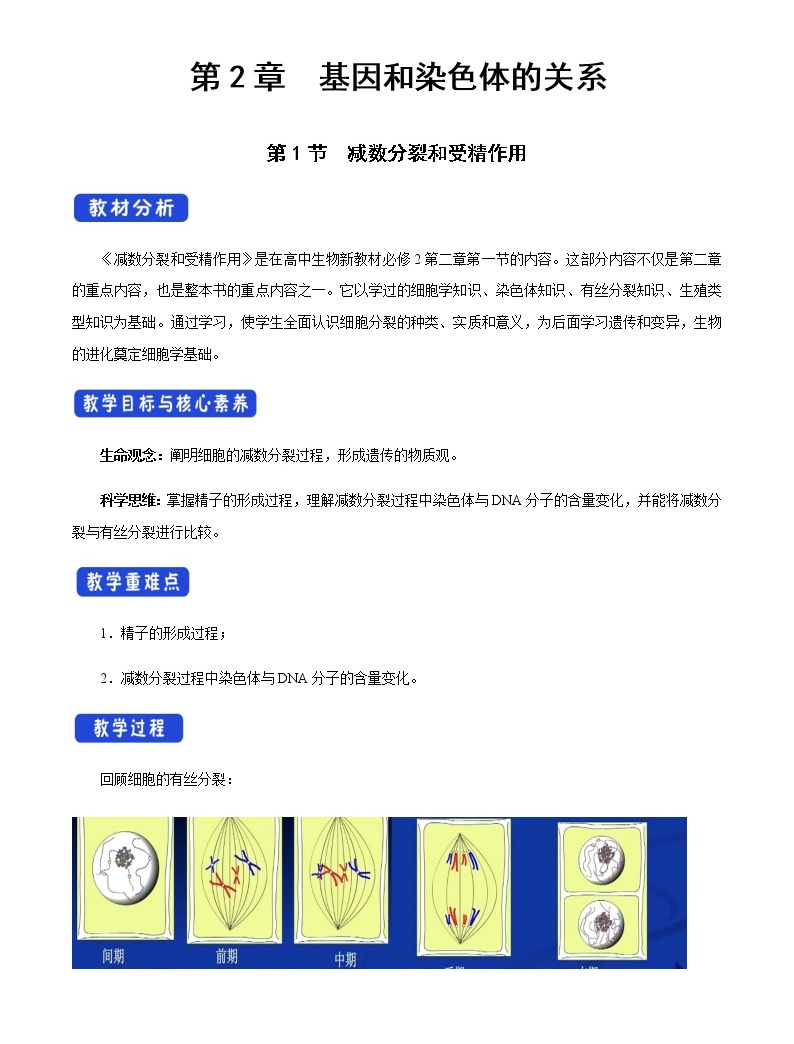 高中生物第二册 2 1 1 减数分裂和受精作用 教学设计-遗传与进化-教习网|教案下载