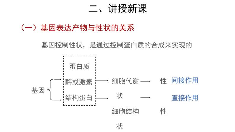 人教版 2019第2节 基因表达与性状的关系教学课件ppt 教习网课件下载