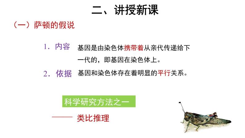 生物必修2《遗传与进化》第2章 基因和染色体的关系第2节 基因在染色体上教学ppt课件 教习网课件下载