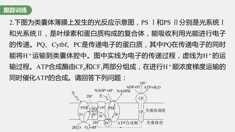 新人教新高考生物一轮复习课件 第3单元 解惑练3 光系统及电子传递链 教习网课件下载