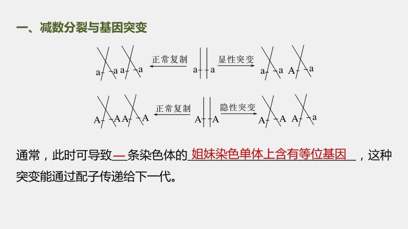 新人教新高考生物一轮复习课件 第4单元 微专题三 减数分裂与可遗传变异的关系 教习网课件下载