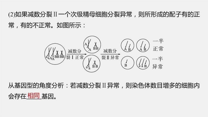 新人教新高考生物一轮复习课件 第4单元 微专题三 减数分裂与可遗传变异的关系 教习网课件下载