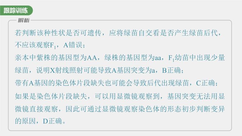 新人教新高考生物一轮复习课件 第7单元 微专题六 利用 假说—演绎法”解决生物变异实验探究题 教习网课件下载