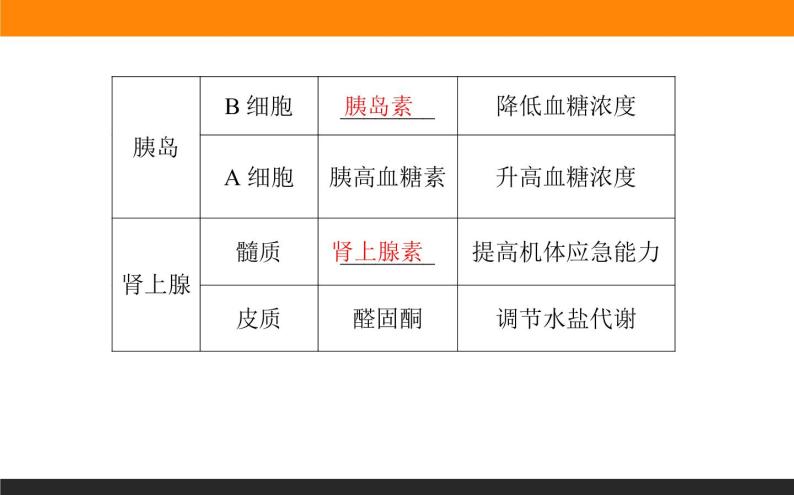 高中生物人教版 2019选择性必修1第1节 激素与内分泌系统评课课件ppt 教习网课件下载