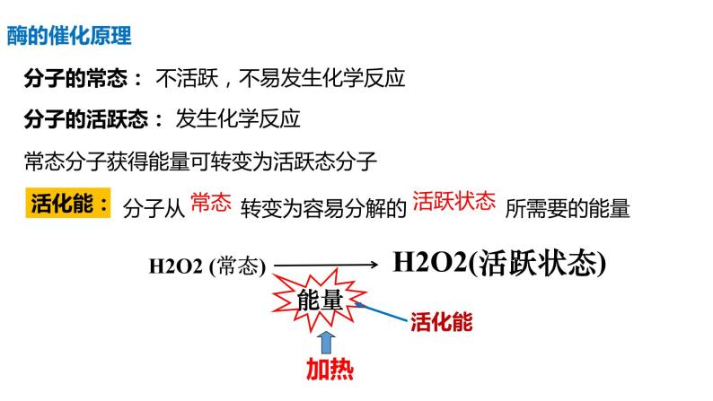 高中生物第一册 5 1降低化学反应活化能的酶 课件 教习网课件下载