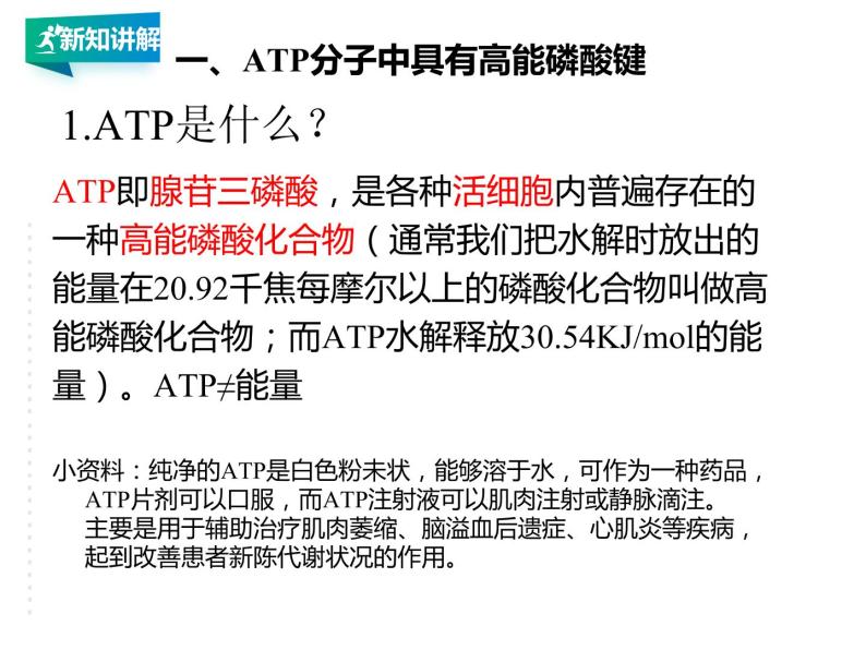生物人教版 2019第5章 细胞的能量供应和利用第2节 细胞的能量 货币”atp说课ppt课件 教习网课件下载
