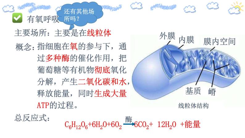 生物必修1《分子与细胞》第2节 细胞的能量 货币”atp课文内容ppt课件 教习网课件下载