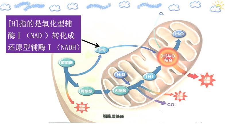 生物必修1《分子与细胞》第2节 细胞的能量 货币”atp课文内容ppt课件 教习网课件下载