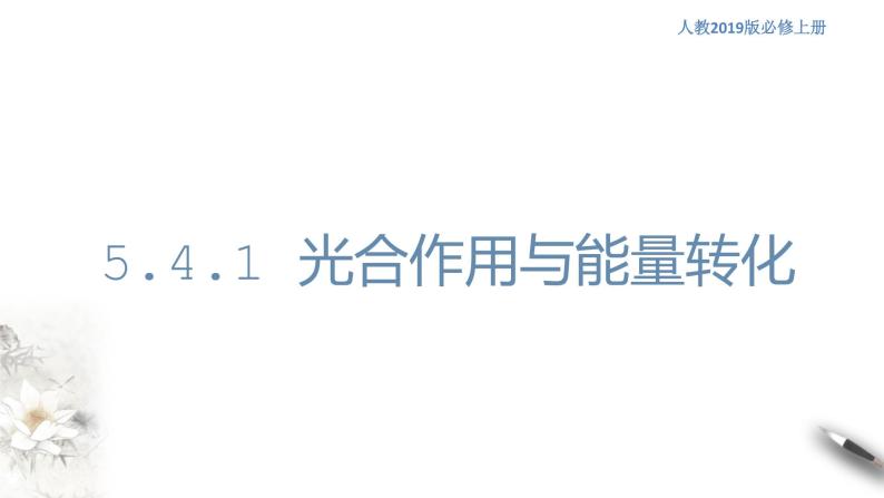 高中生物第一册 5 4 1 光合作用与能量转化 课件 教习网课件下载