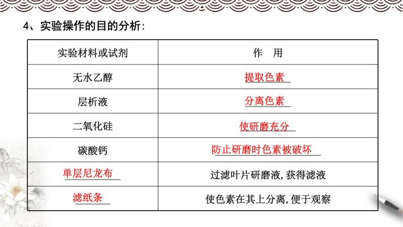 高中生物第一册 5 4 1 光合作用与能量转化 课件 教习网课件下载