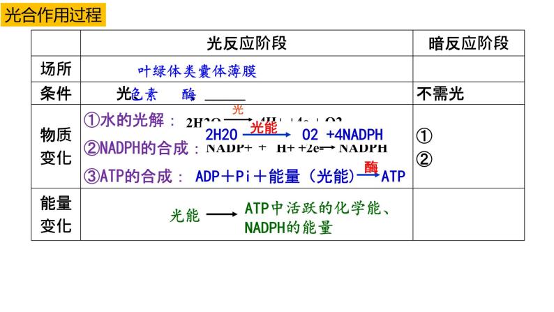 高中生物第一册 5 4光合作用与能量转化2 课件 教习网课件下载