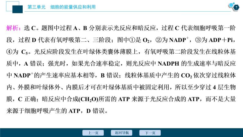 高中生物高考5 第三单元 加强提升课 光合作用与细胞呼吸综合应用课件ppt 教习网课件下载