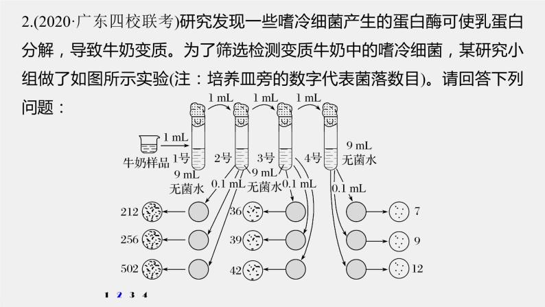高中生物高考2022年高考生物一轮复习 第11单元 强化练23 微生物的培养与应用课件ppt 教习网课件下载