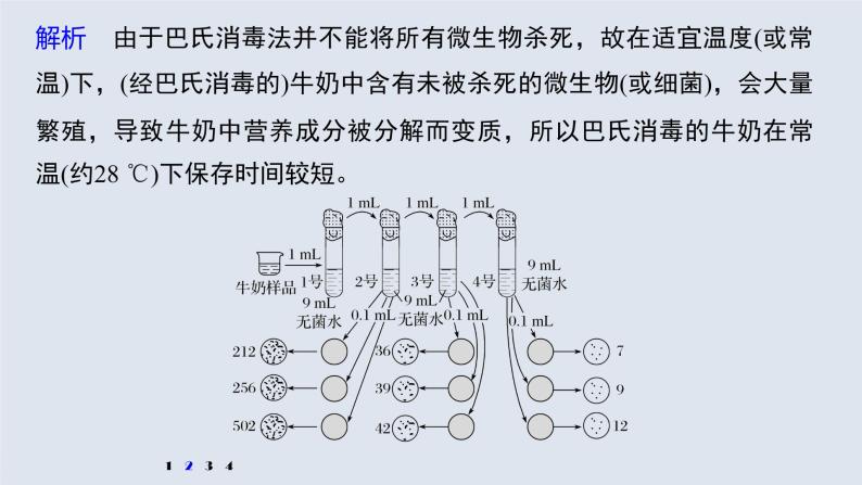 高中生物高考2022年高考生物一轮复习 第11单元 强化练23 微生物的培养与应用课件ppt 教习网课件下载