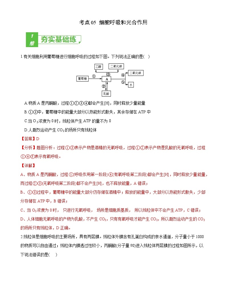 高中生物高考考点05 细胞呼吸与光合作用 2022年高考生物一轮复习小题多维练（新高考专用）（解析版） 教习网试卷下载