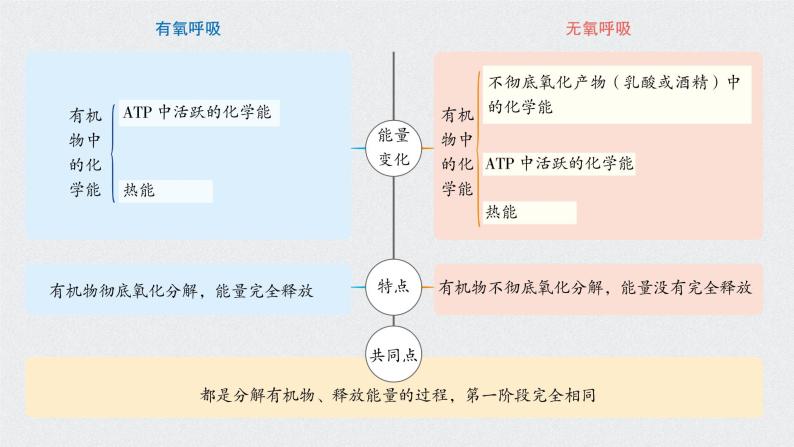 高中生物高考考点精讲5 细胞呼吸的原理和应用（课件）练习题 教习网课件下载