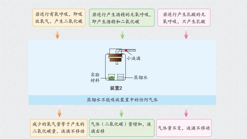 高中生物高考考点精讲5 细胞呼吸的原理和应用（课件）练习题 教习网课件下载