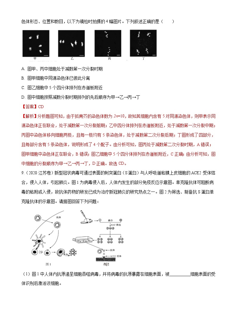 高中生物高考专题03 细胞的生命历程 十年（2011 2020）高考真题生物分项详解（解析版） 教习网试卷下载