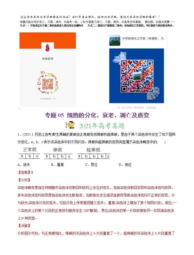 高中生物高考专题05 细胞的分化、衰老、凋亡及癌变 2021年高考生物真题与模拟题分类训练(教师版含解析) 教习网试卷下载