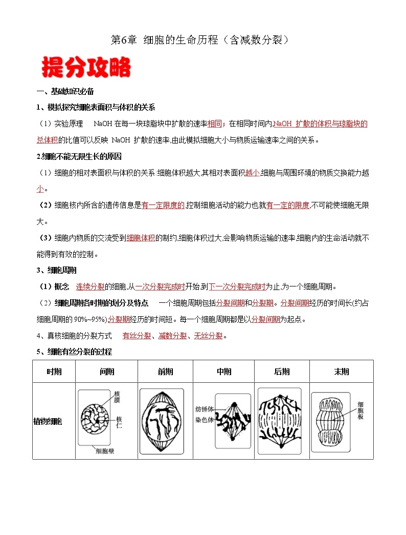 高中生物高考专题06 细胞的生命历程（含减数分裂） 备战2021年高考生物专题提分攻略（解析版） 教习网试卷下载