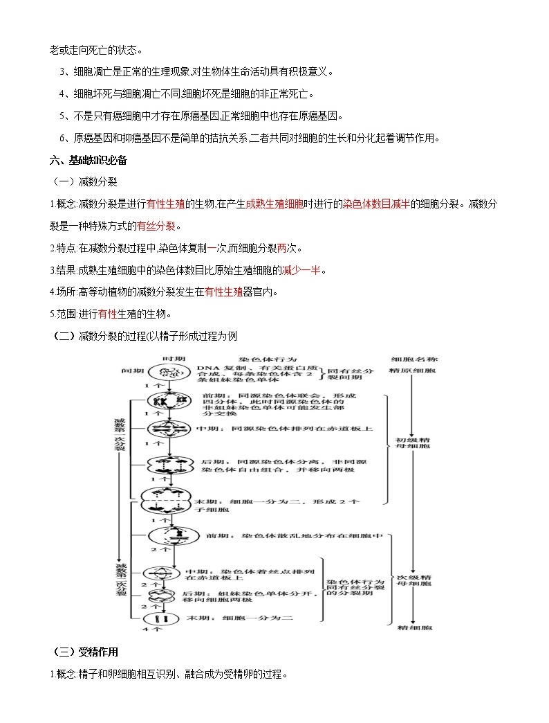 高中生物高考专题06 细胞的生命历程（含减数分裂） 备战2021年高考生物专题提分攻略（解析版） 教习网试卷下载