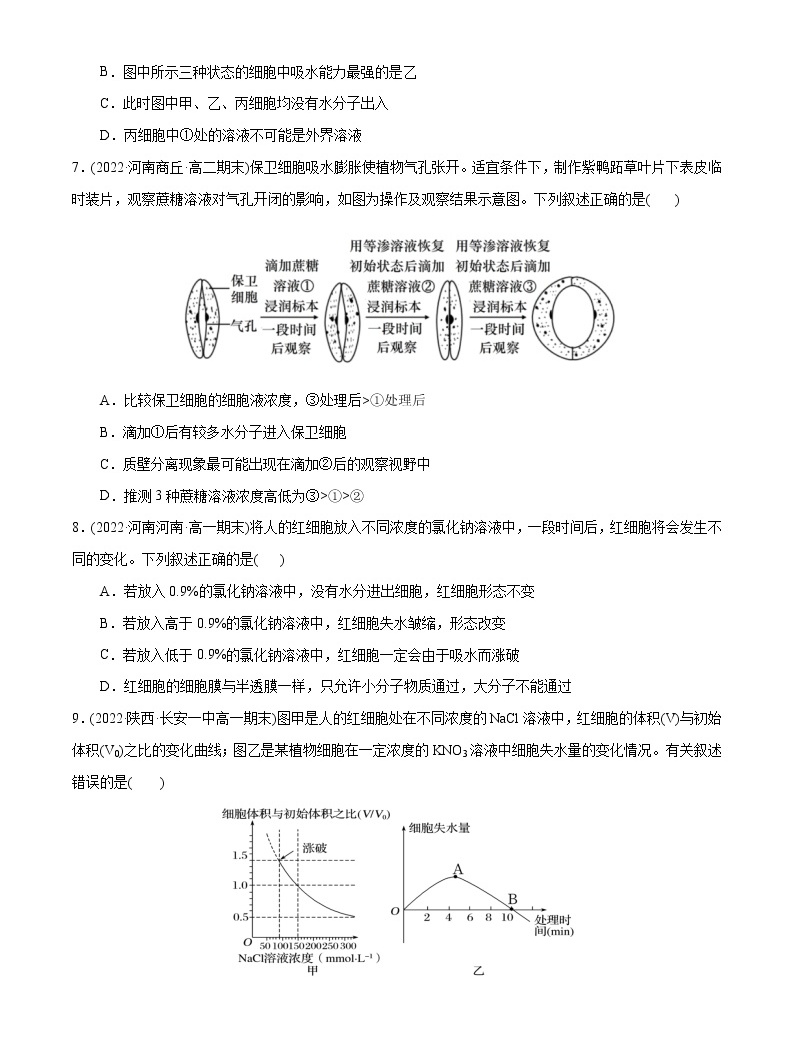 第4章 细胞的物质输入和输出（b卷·能力提升练） 【单元测试】2022 2023学年高一生物分层训练ab卷（2019人教版必修1） 教习网试卷下载