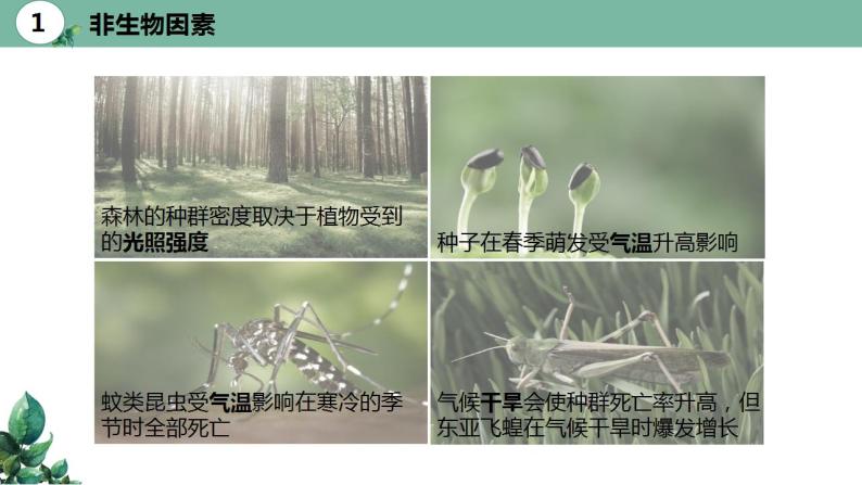 高中生物选择性必修二 1 3 影响种群数量变化的因素精品课件练习题 教习网课件下载