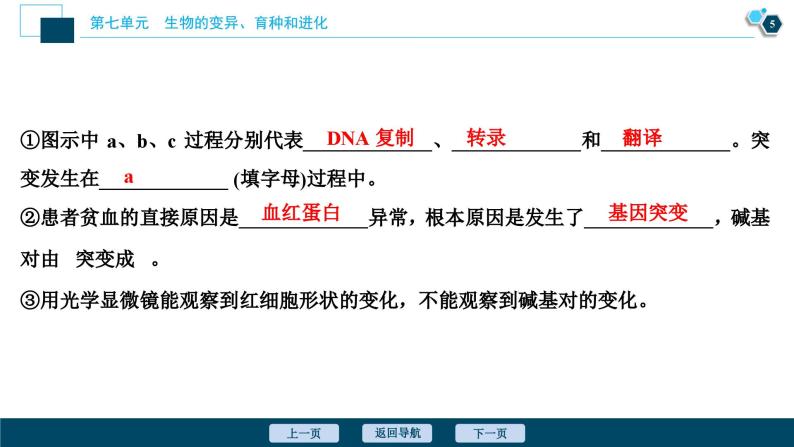 高中生物高考1 第七单元 第20讲 基因突变和基因重组课件ppt 教习网试卷下载