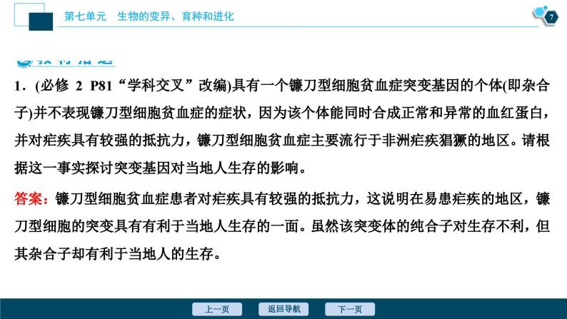 高中生物高考1 第七单元 第20讲 基因突变和基因重组课件ppt 教习网试卷下载