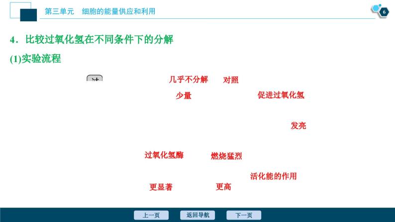 高中生物高考1 第三单元 第8讲 降低化学反应活化能的酶课件ppt 教习网试卷下载