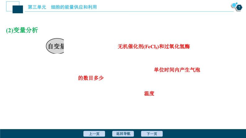 高中生物高考1 第三单元 第8讲 降低化学反应活化能的酶课件ppt 教习网试卷下载