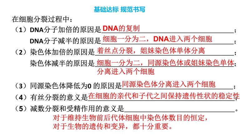 2023届高三复习生物:细胞的生命历程课件 教习网课件下载