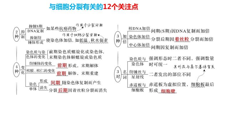 2023届高三复习生物：细胞的生命历程课件 教习网课件下载