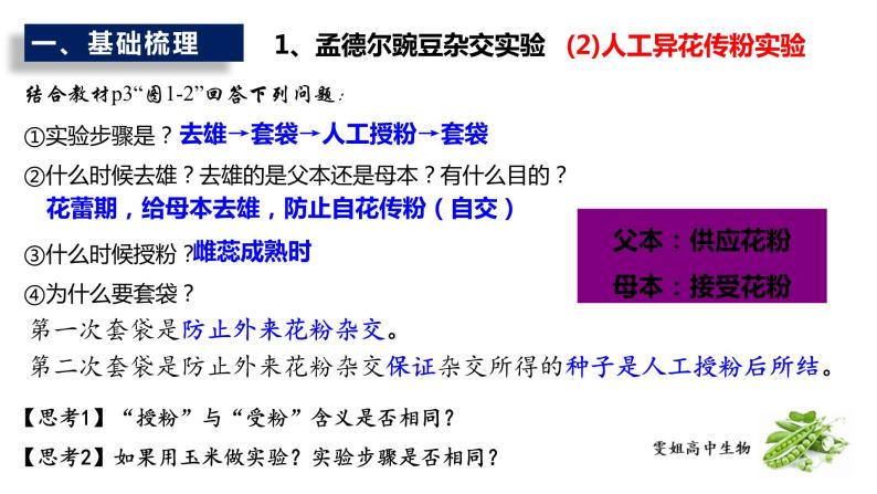 2023届高三生物复习基因的分离定律课件ppt 教习网课件下载