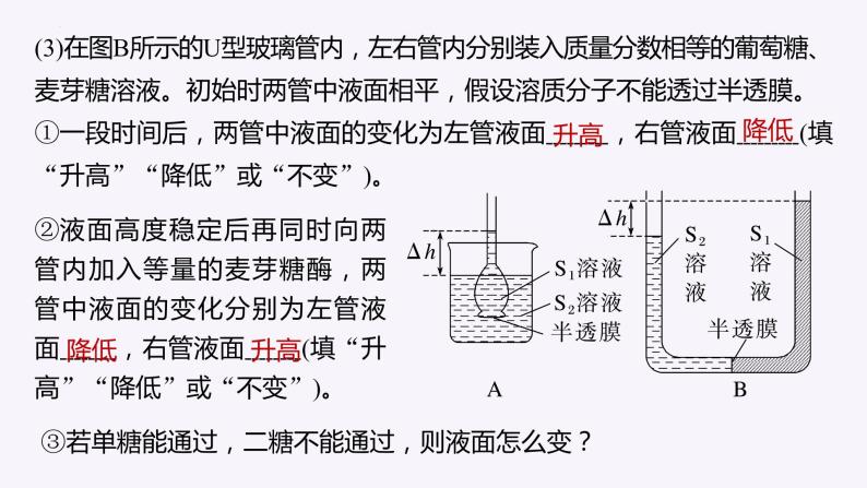 2024届高考生物复习课件必修一第8课时 水进出细胞的原理2 教习网课件下载