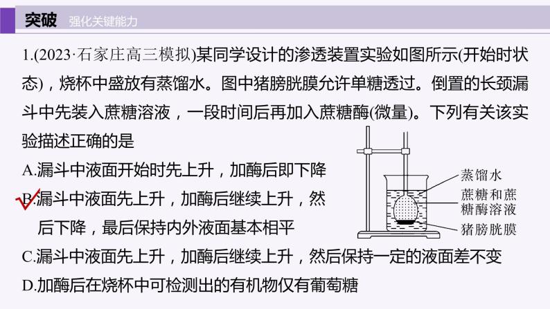 2024届高考生物复习课件必修一第8课时 水进出细胞的原理2 教习网课件下载