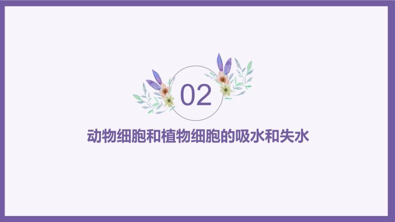 2024届高考生物复习课件必修一第8课时 水进出细胞的原理2 教习网课件下载