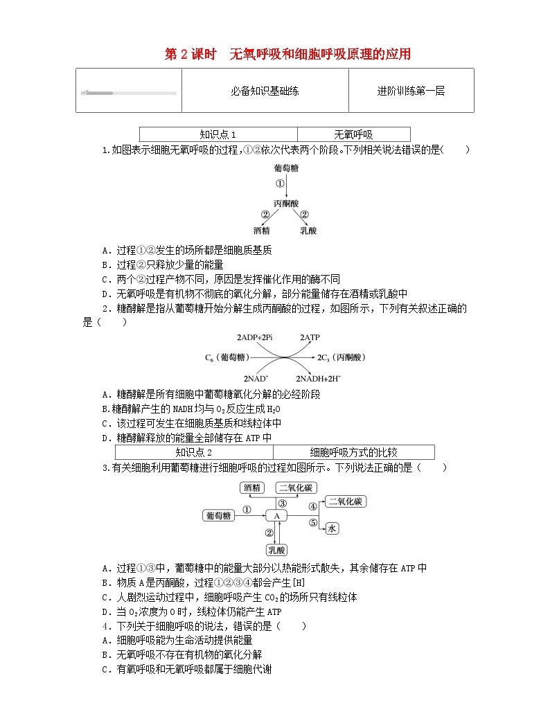 20232024学年新教材高中生物第5章细胞的能量供应和利用53细胞呼吸的原理和应用532无氧呼吸和细胞呼吸原理的应用课时作业 教习网