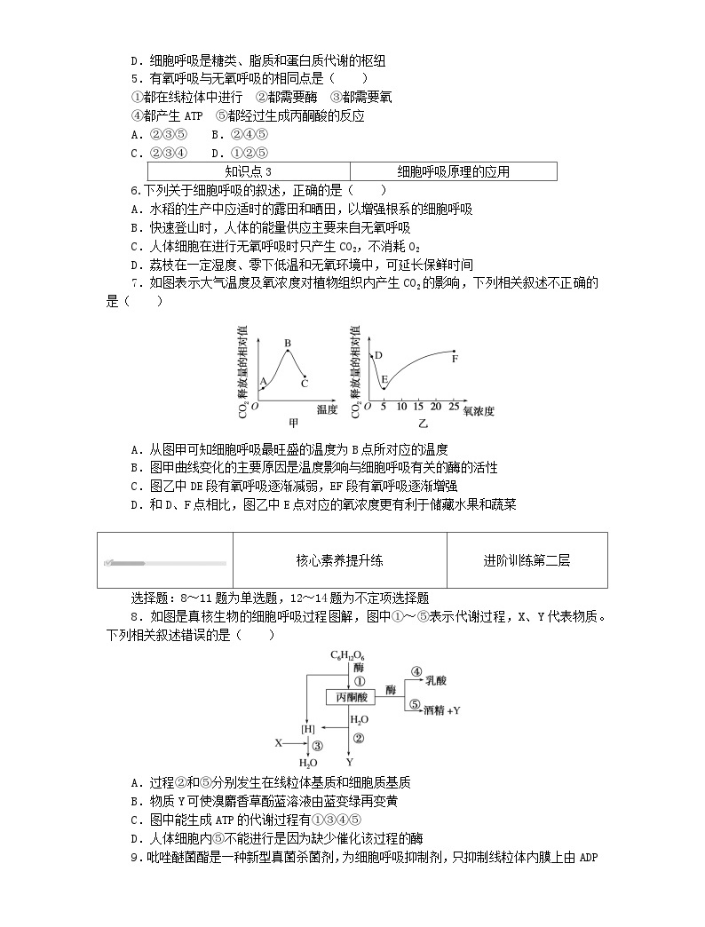 20232024学年新教材高中生物第5章细胞的能量供应和利用53细胞呼吸的原理和应用532无氧呼吸和细胞呼吸原理的应用课时作业 教习网
