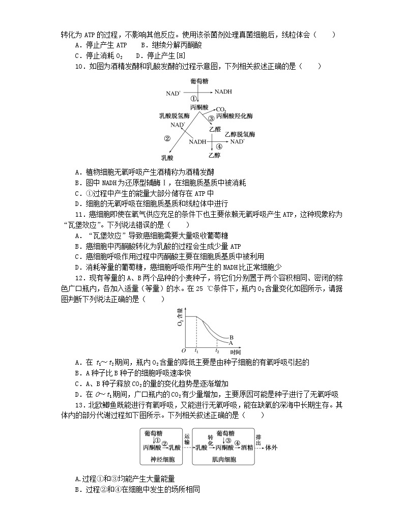 20232024学年新教材高中生物第5章细胞的能量供应和利用53细胞呼吸的原理和应用532无氧呼吸和细胞呼吸原理的应用课时作业 教习网
