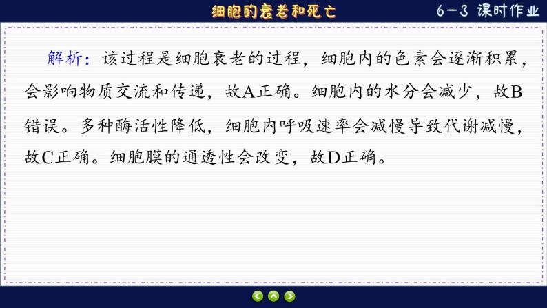 6—3 细胞的衰老和死亡 (练习课件ppt) 教习网课件下载