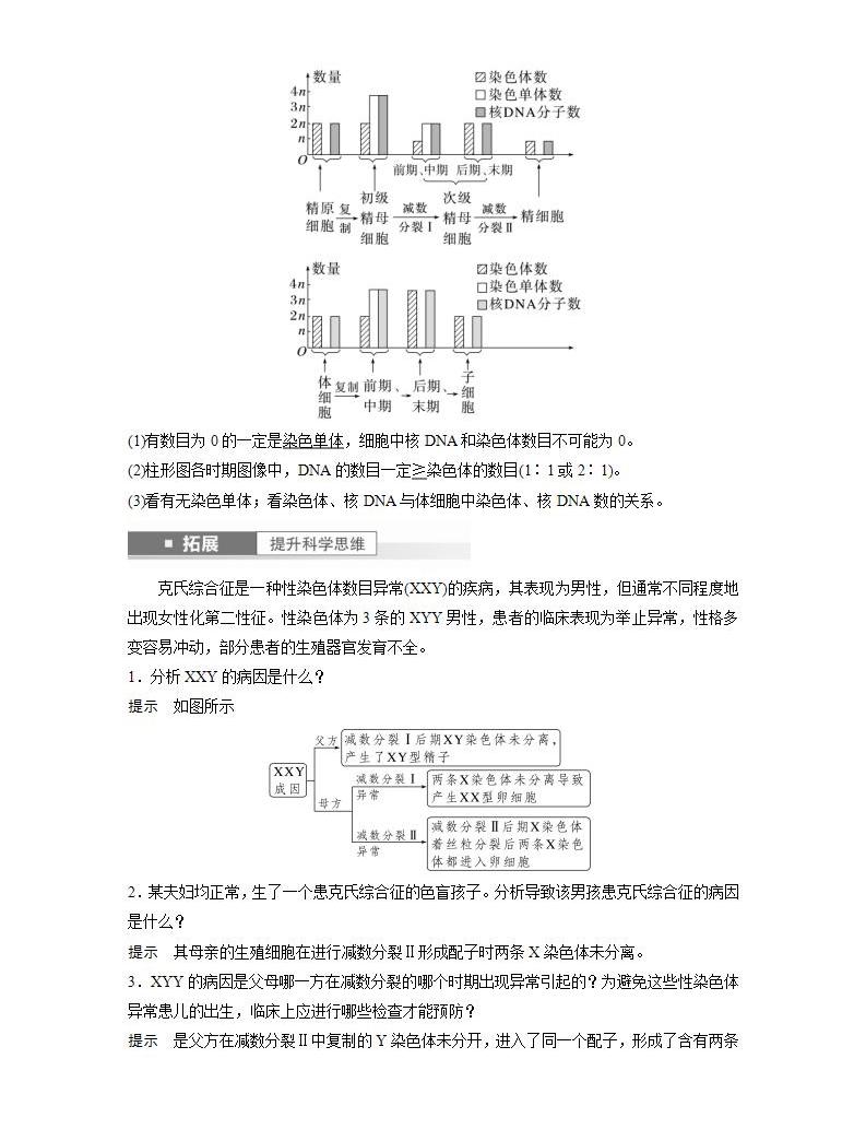 2024年高考生物一轮复习(新人教版) 第4单元 第4课时 减数分裂与有丝分裂的比较及观察蝗虫精母细胞减数分裂装片 教习网课件下载
