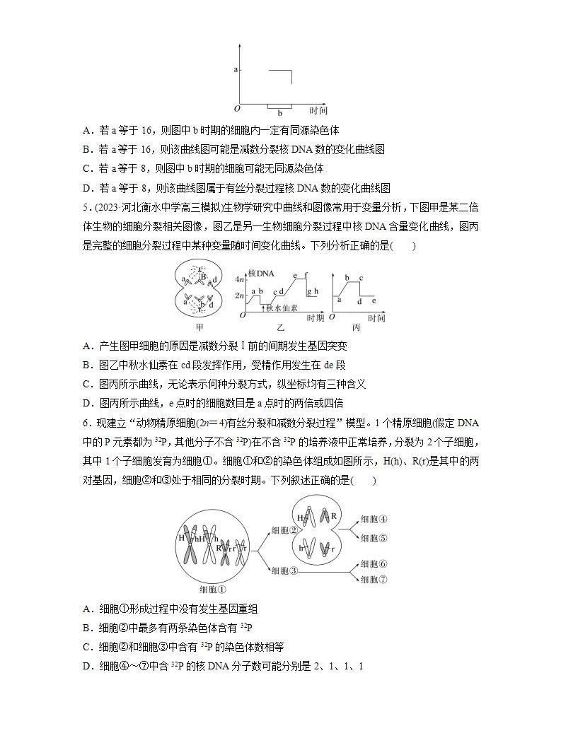 2024年高考生物一轮复习（新人教版） 第4单元 第4课时 减数分裂与有丝分裂的比较及观察蝗虫精母细胞减数分裂装片 教习网课件下载