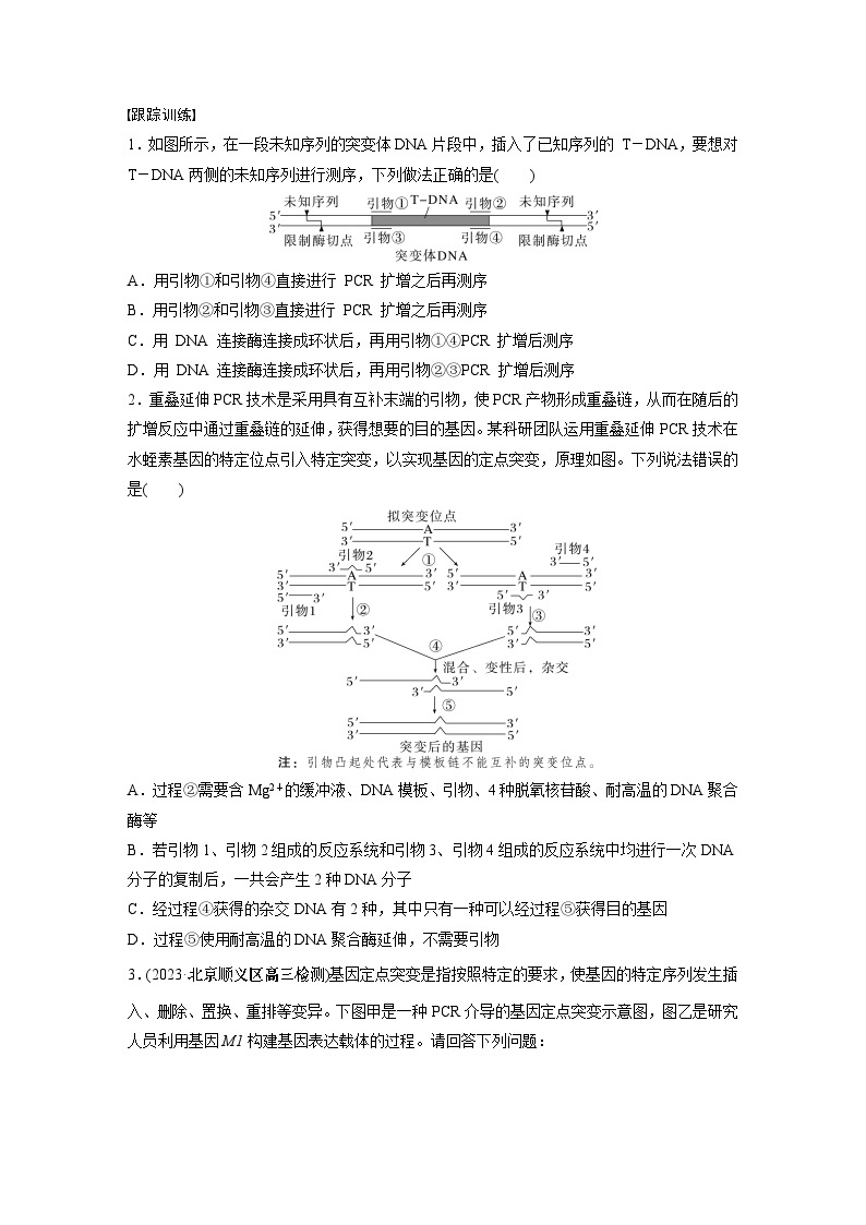 2024年高考生物一轮复习（新人教版） 第10单元 解惑练4 Pcr技术拓展应用 教习网课件下载